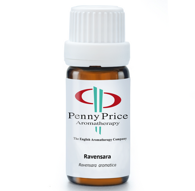Ravensara Essential Oil 羅文沙葉精油 – Penny Price Aromatherapy Hong Kong Limited